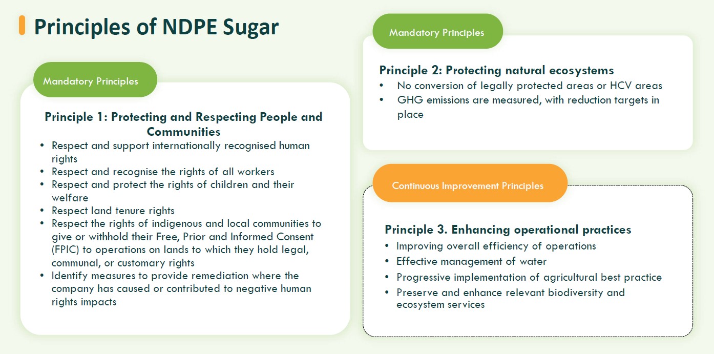 NDPE Sugar Policy - Sugar Sustainability
