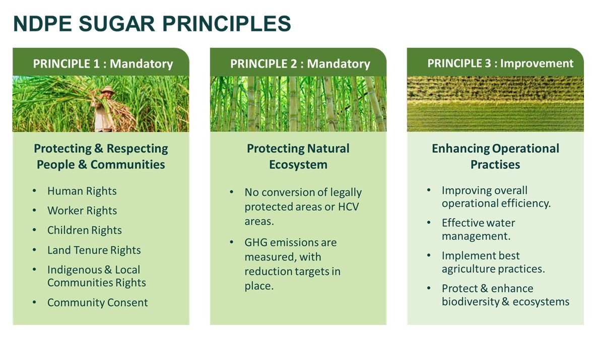 NDPE Sugar Policy - Sugar Sustainability